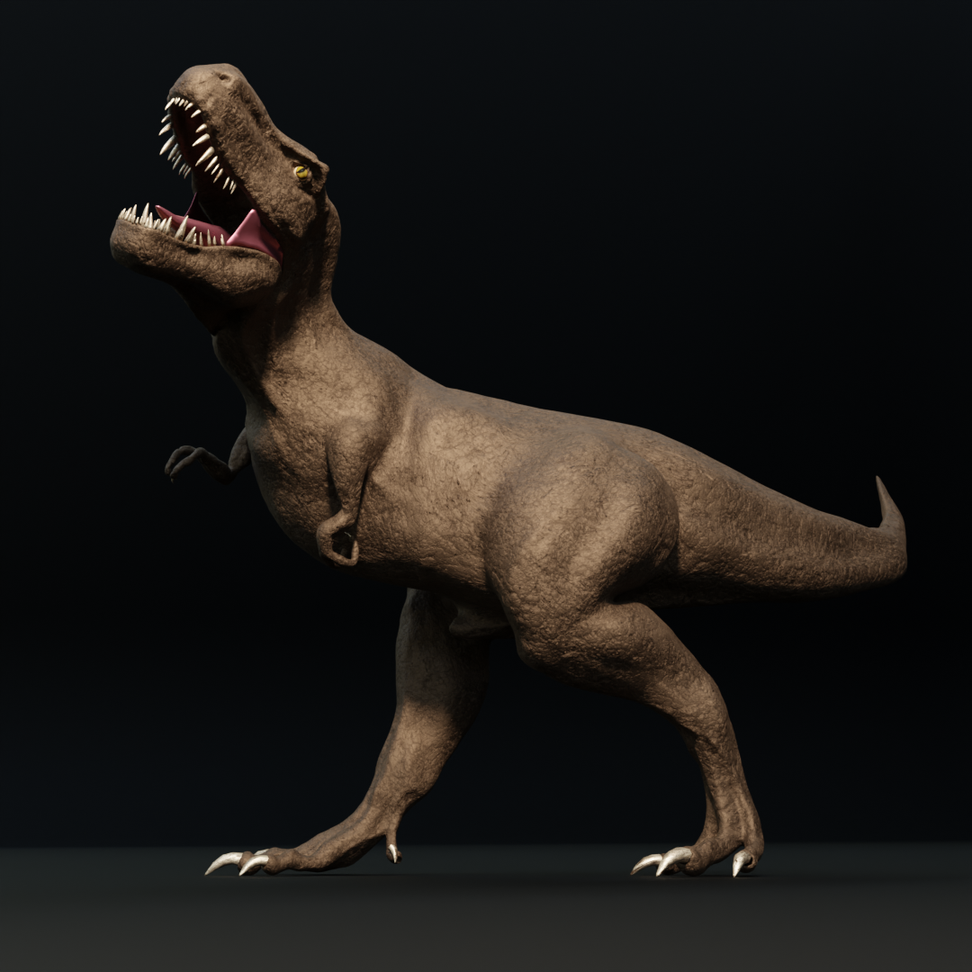 Anna Łuba - Portfolio